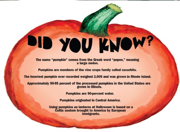 A Good Year For Pumpkins The Dispatch a-good-year-for-pumpkins-the-dispatch